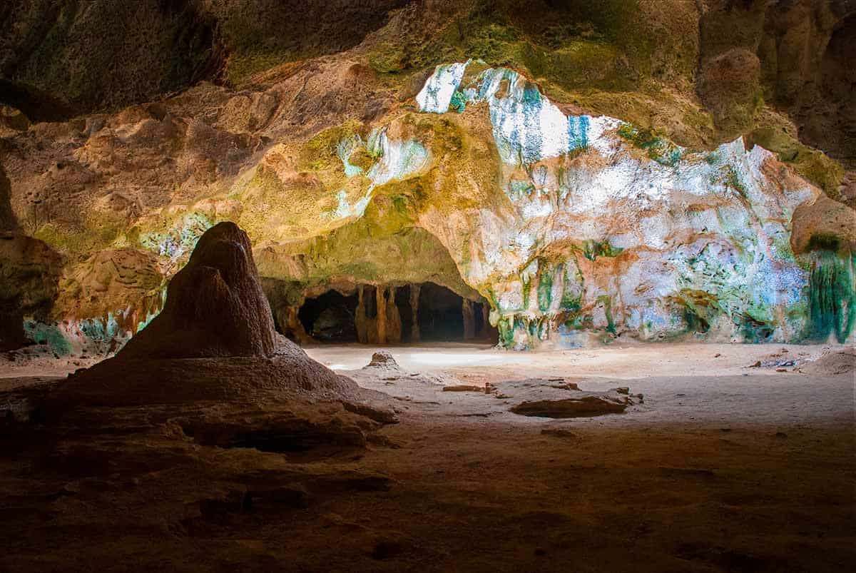 18 Vegan-Friendly Things to Do in Aruba | The Vegan Travel Guide